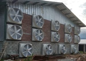 Peralatan Kandang Close House Exhaust Fan Ayam – Adam NV